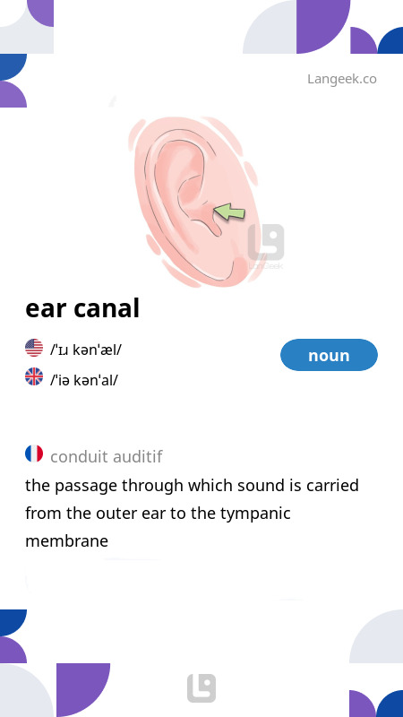 La traduction du mot "Ear canal" | LanGeek