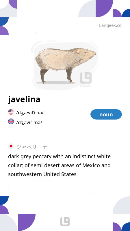 Javelina Memes Javelina" の定義と意味 | 絵辞典