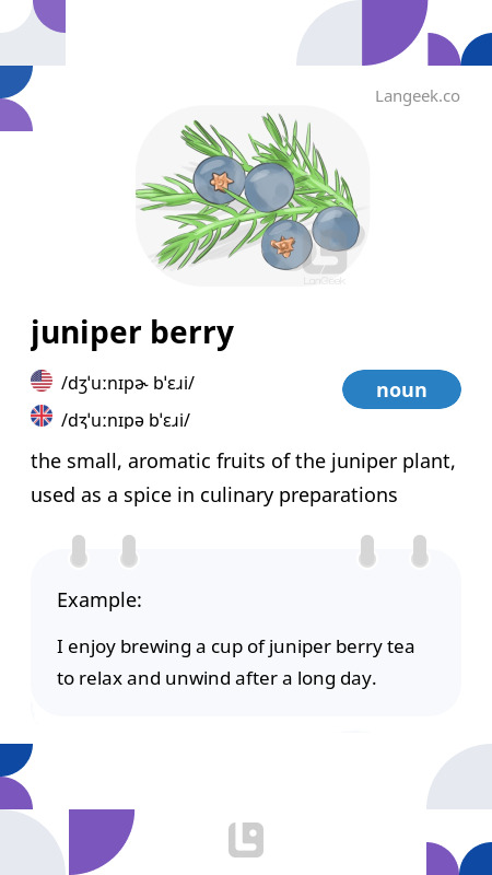 Definition & Meaning of "Juniper berry" | LanGeek