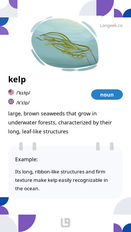 Definition & Meaning of "Kelp" | LanGeek