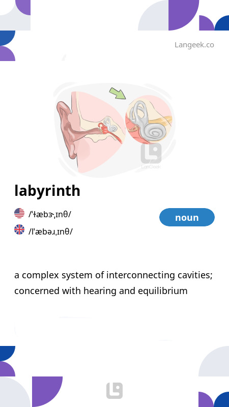 Definition & Meaning of "Labyrinth" | Picture Dictionary