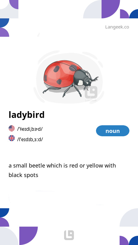 Definition & Meaning of "Ladybird" | Picture Dictionary