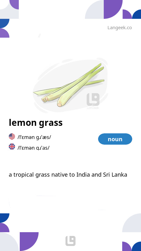 Definition & Meaning of "Lemon grass" | Picture Dictionary