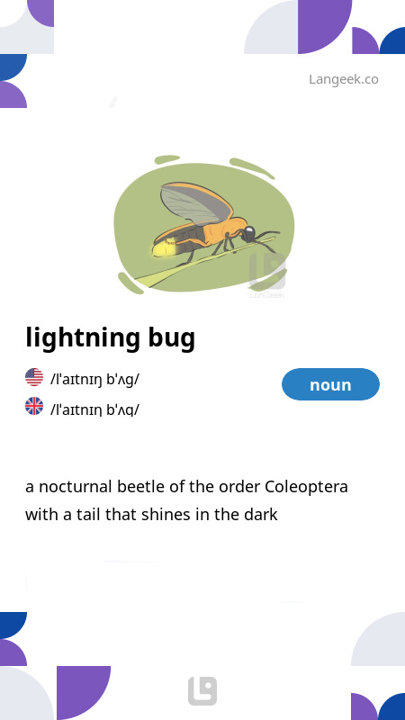 Definition & Meaning of "Lightning bug" | Picture Dictionary