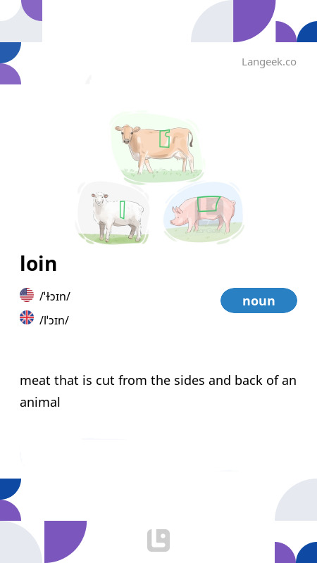 Definition & Meaning of "Loin" | Picture Dictionary