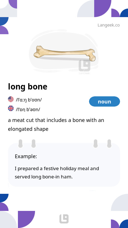 Definition & Meaning of "Long bone" | LanGeek