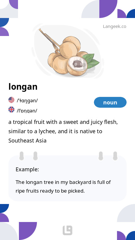 Definition & Meaning of "Longan" | LanGeek