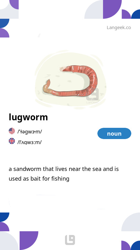 Definition & Meaning of "Lugworm" | Picture Dictionary
