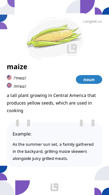 Definition & Meaning of "Maize" | Picture Dictionary