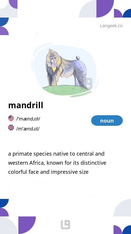 Definition & Meaning of "Mandrill" | LanGeek
