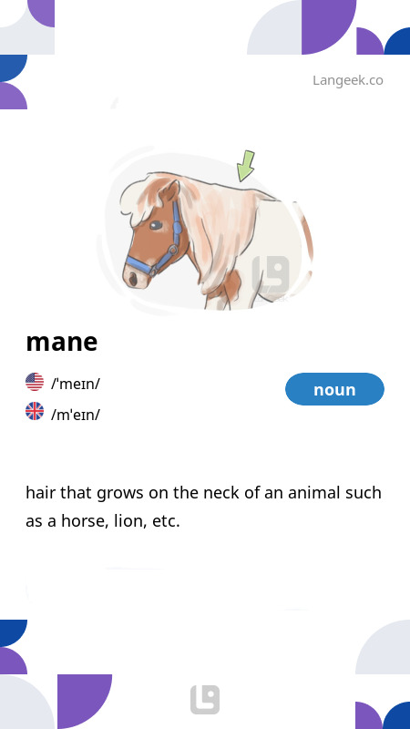 Definition & Meaning of "Mane" | Picture Dictionary