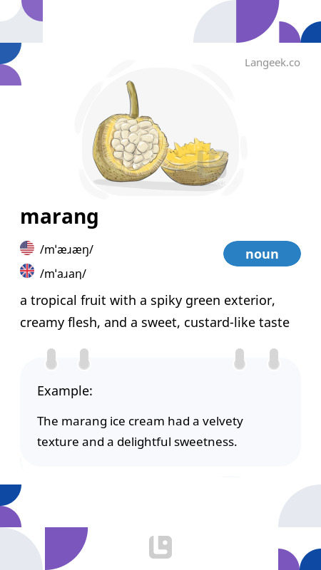 Definition & Meaning of "Marang" | Picture Dictionary