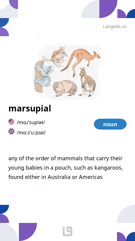Definition & Meaning of "Marsupial" | Picture Dictionary