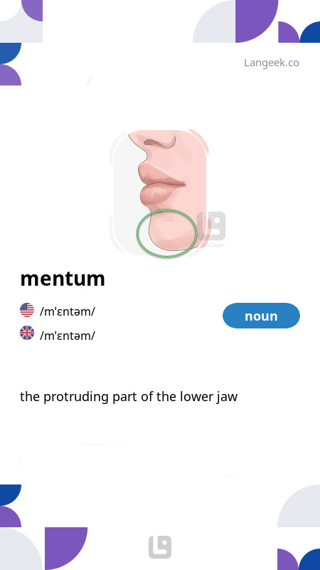 Definition & Meaning of "Mentum" | LanGeek