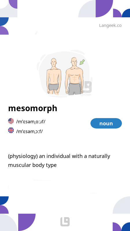 Definition & Meaning of "Mesomorph" | Picture Dictionary
