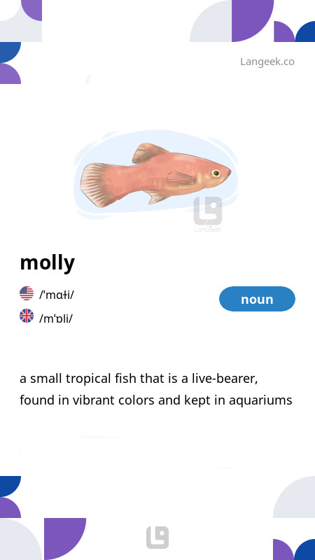 Definition & Meaning of "Molly" | Picture Dictionary