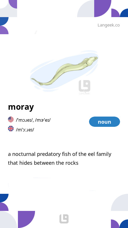 Definition & Meaning of "Moray" | LanGeek