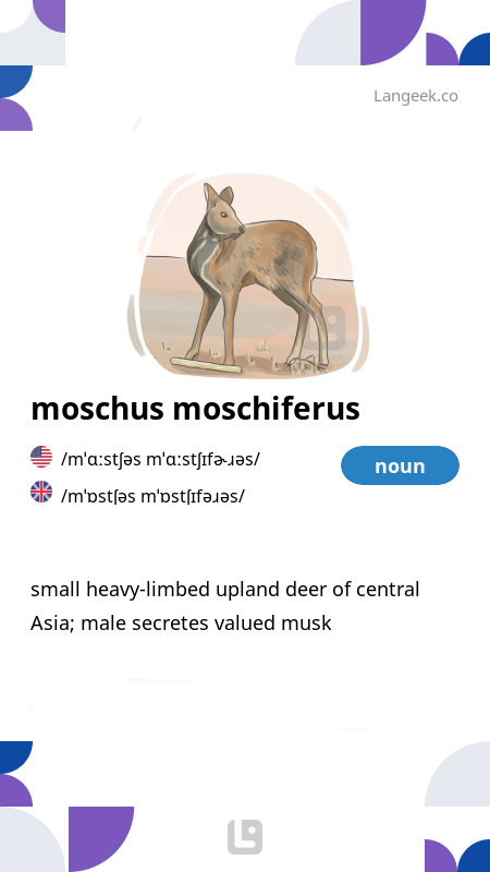 Definition & Meaning of "Moschus moschiferus" | Picture Dictionary