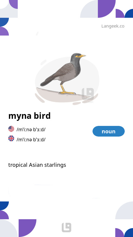 Definition & Meaning of "Myna bird" | Picture Dictionary