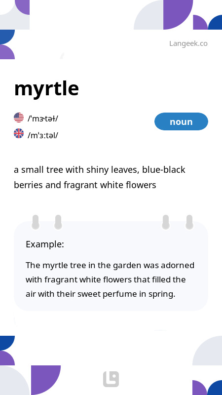 Definition & Meaning of "Myrtle" | Picture Dictionary