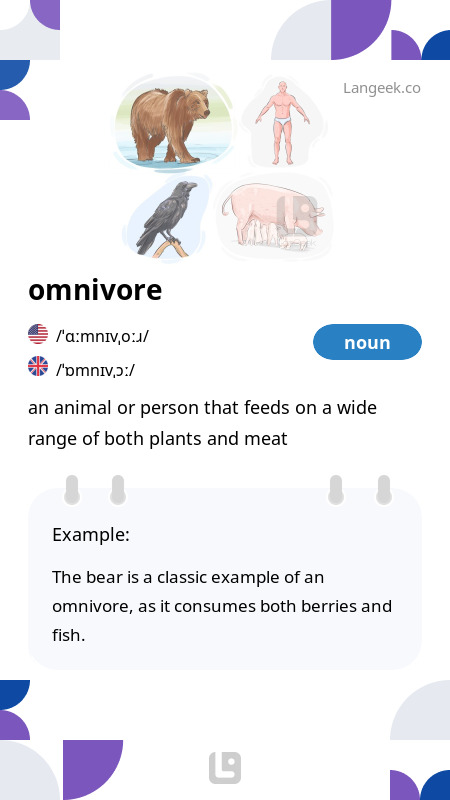 Definition & Meaning of "Omnivore" | Picture Dictionary