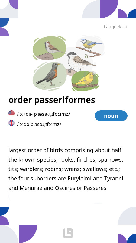 Definition & Meaning of "Order passeriformes" | Picture Dictionary