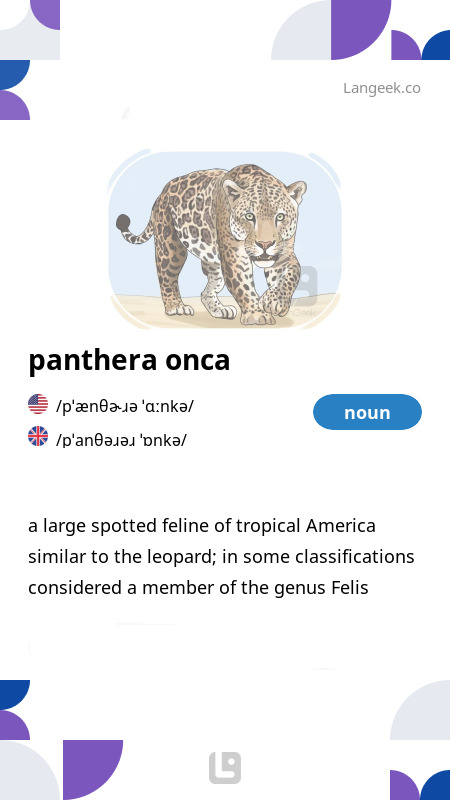Definition & Meaning of "Panthera onca" | Picture Dictionary