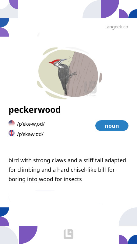 Definition & Meaning of "Peckerwood" | Picture Dictionary