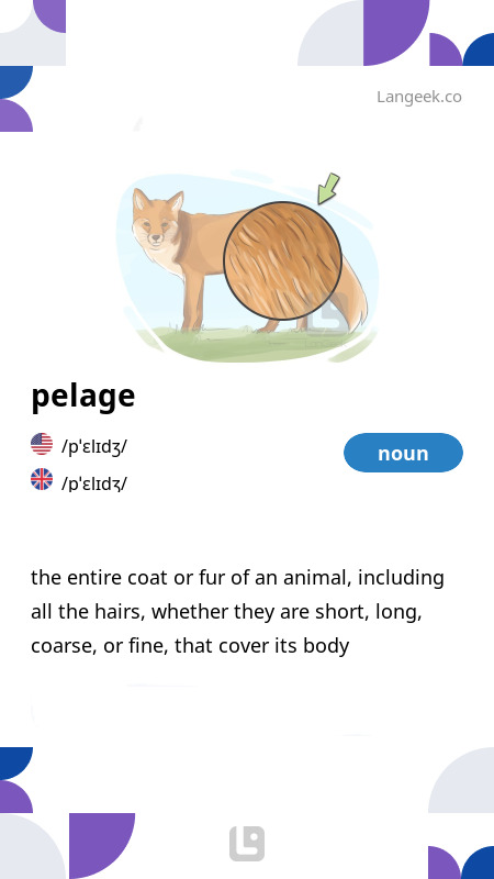 Definition & Meaning of "Pelage" | Picture Dictionary