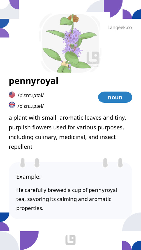 Definition & Meaning of "Pennyroyal" | Picture Dictionary