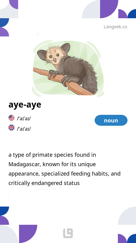 Definition & Meaning of "Aye-aye" | Picture Dictionary