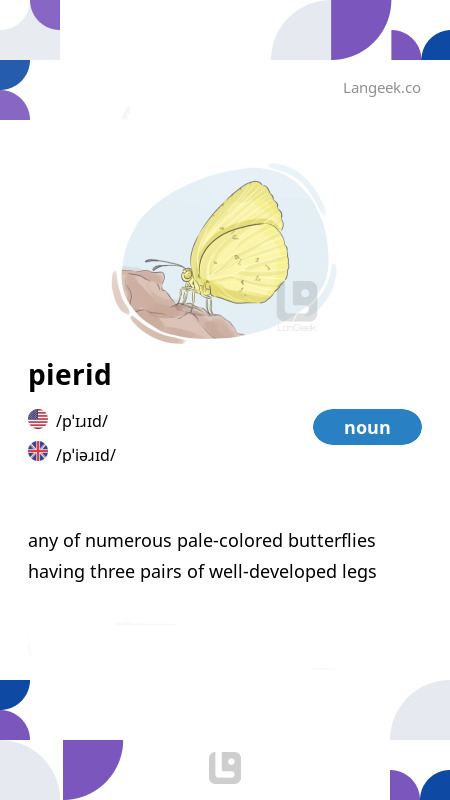 Definition & Meaning of "Pierid" | Picture Dictionary