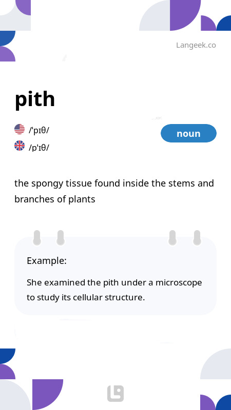 Definition & Meaning of "Pith" | Picture Dictionary