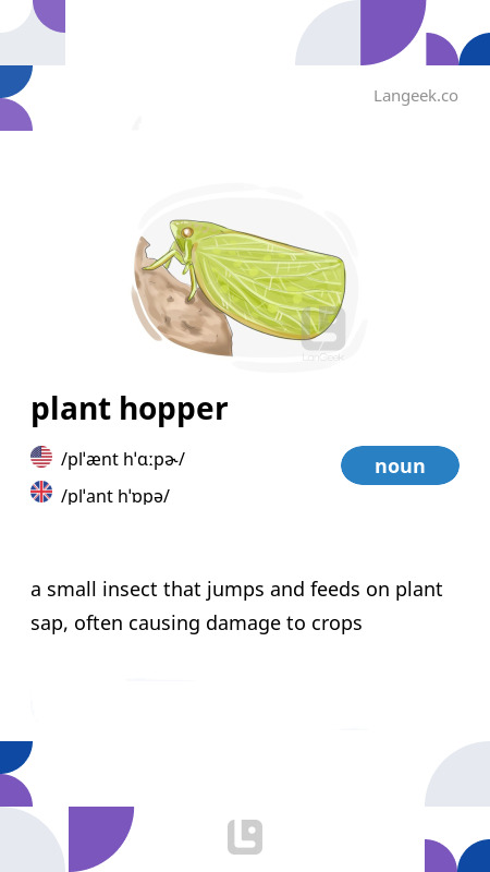 Definition & Meaning of "Plant hopper" | Picture Dictionary
