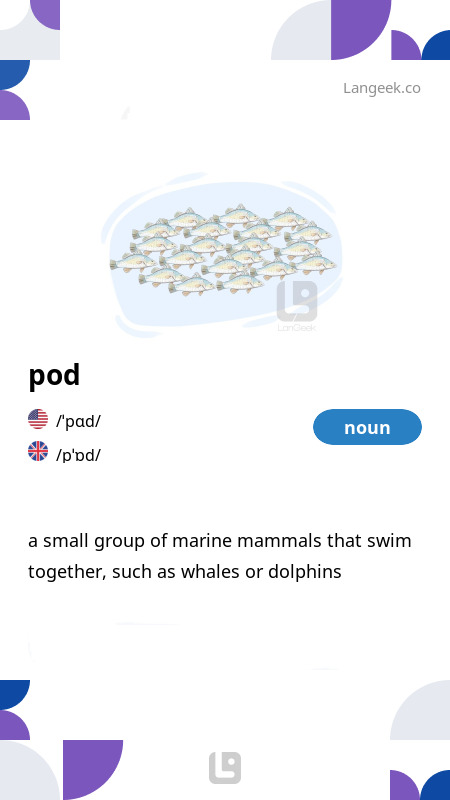 Definition & Meaning of "Pod" | Picture Dictionary