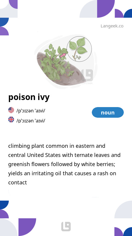 Definition & Meaning of "Poison ivy" | Picture Dictionary