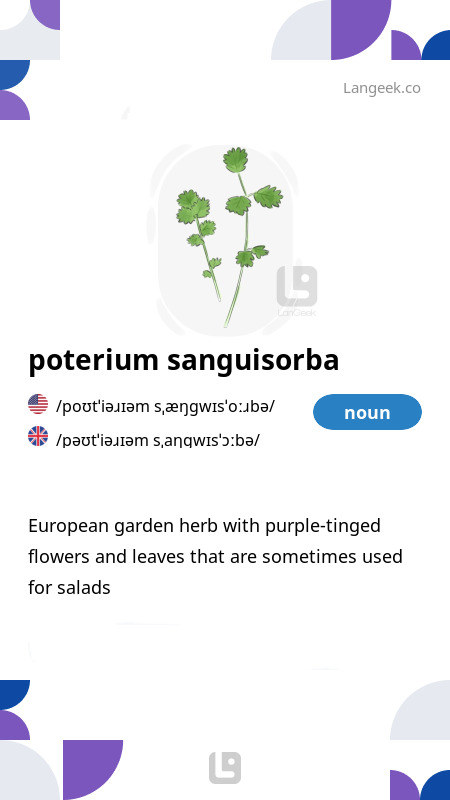 Definition & Meaning of "Poterium sanguisorba" | Picture Dictionary