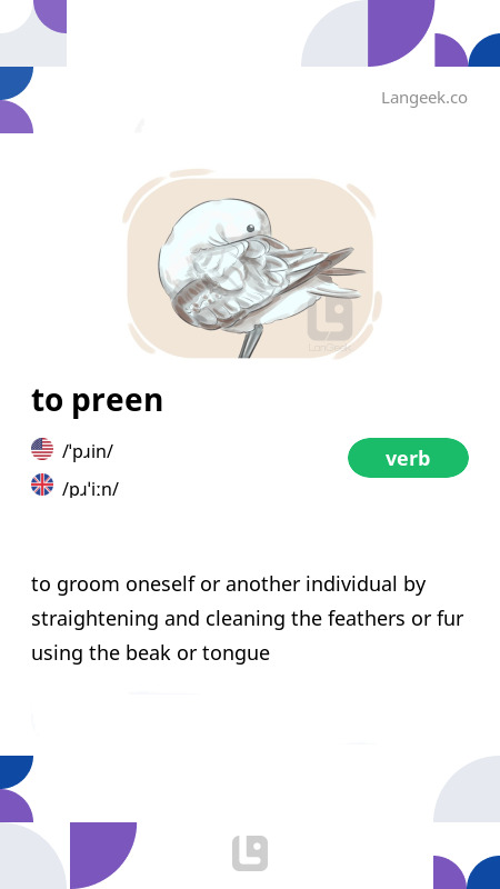 Definition & Meaning of "Preen" | Picture Dictionary