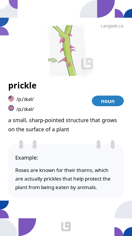 Definition & Meaning of "Prickle" | Picture Dictionary