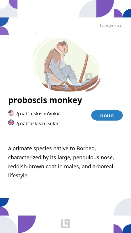 Definition & Meaning of "Proboscis monkey" | Picture Dictionary