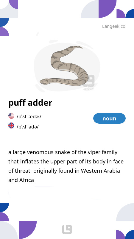 Definition & Meaning of "Puff adder" | Picture Dictionary