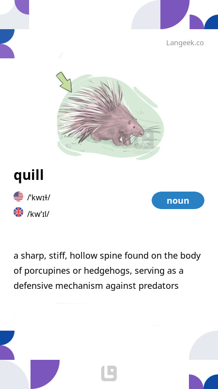 Definition & Meaning of "Quill" | Picture Dictionary