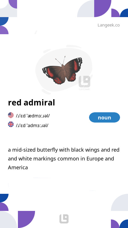 Definition & Meaning of "Red admiral" | Picture Dictionary