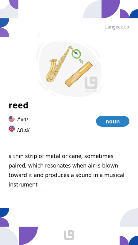 Definition & Meaning of "Reed" | Picture Dictionary