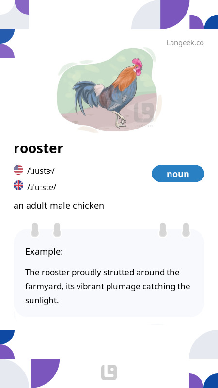 Definition & Meaning of "Rooster" | LanGeek