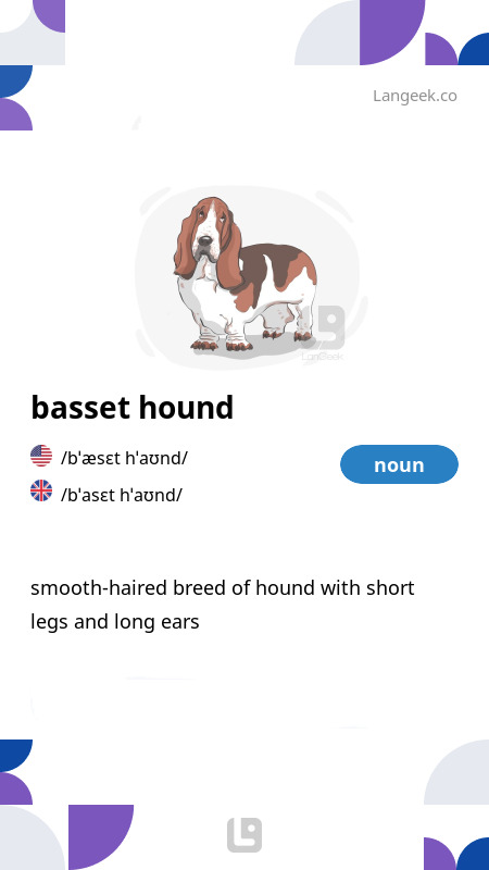 Definition & Meaning of "Basset hound" | LanGeek