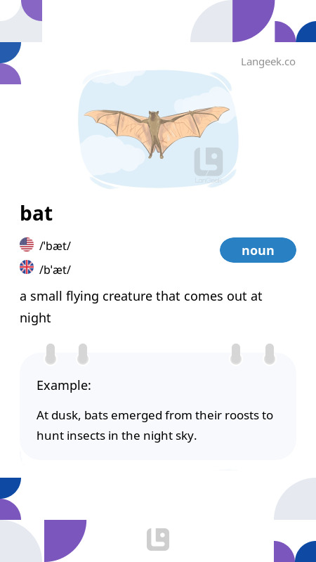 Definition & Meaning of "Bat" | Picture Dictionary
