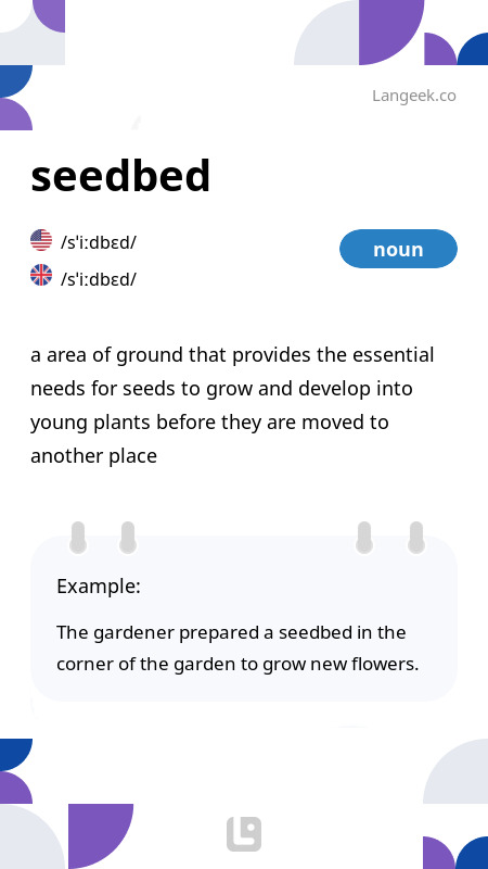 Definition & Meaning of "Seedbed" | Picture Dictionary
