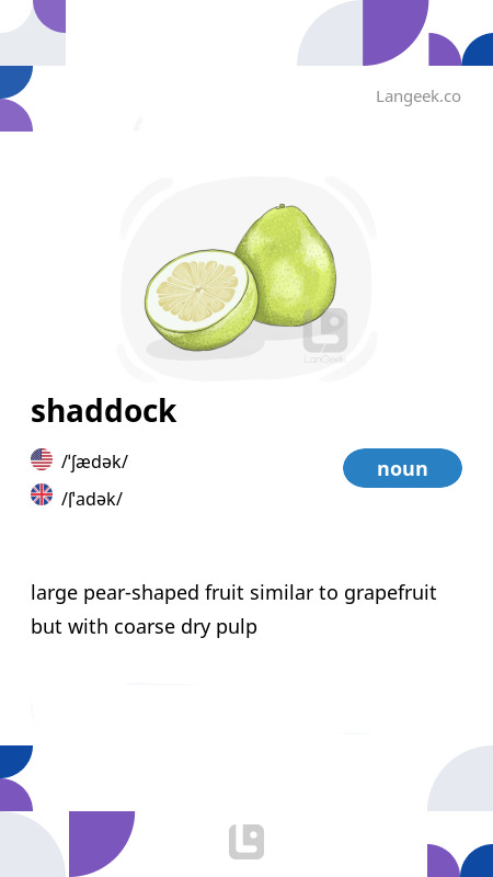 Definition & Meaning of "Shaddock" | Picture Dictionary