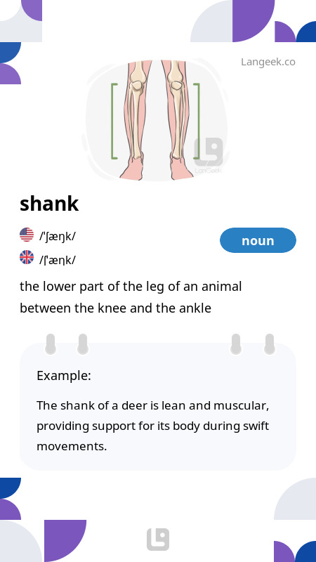 Definition & Meaning of "Shank" | LanGeek